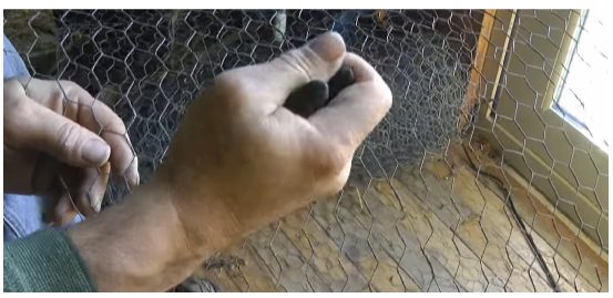 How to Cut Chicken Wire (An Easy Method Guide)