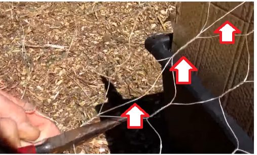 How to Cut Chicken Wire (An Easy Method Guide)