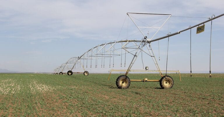 Setting Up a Drip Irrigation System (Guide & Tips)